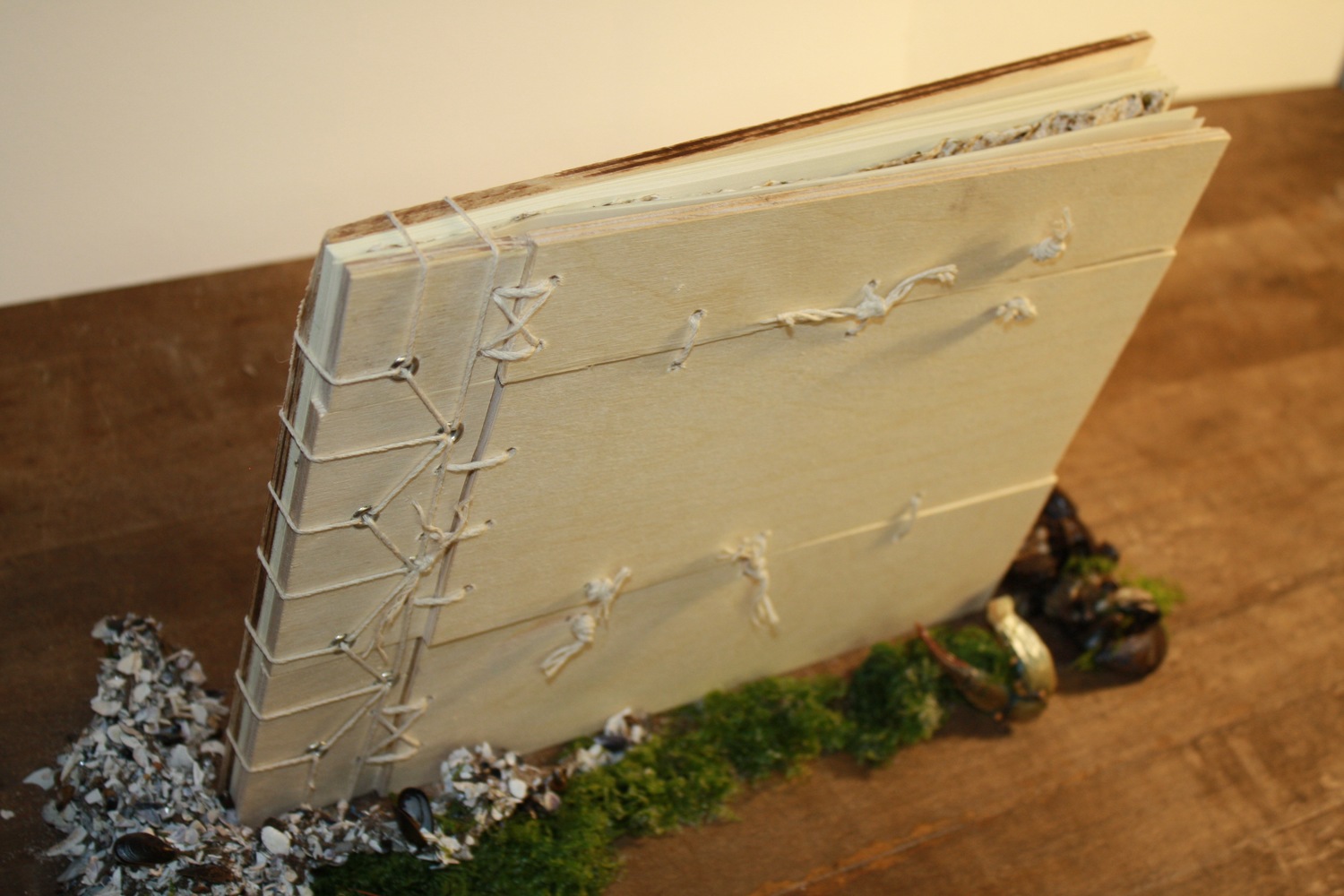 Balsa Book ii | Matter